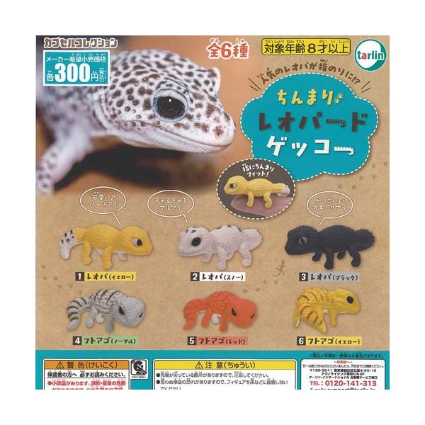 【発売日：2026年05月20日】ターリンインターナショナル 300円カプセル自販機商品のフルコンプです。【ちんまり レオパード ゲッコー 全6種+ディスプレイ台紙セット】★ラインナップの種類は以下となります。 1：レオパ イエロー 2：レ...