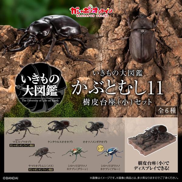 バンダイの人気シリーズ「いきもの大図鑑 かぶとむし11」より、樹皮台座（小）セット付きの全6種コンプリートセットです。さまざまなカブトムシ・甲虫を特徴的な角や体型、カラーまでリアルに再現。それぞれ樹皮台座（小）セットが付属し、昆虫が樹皮にと...