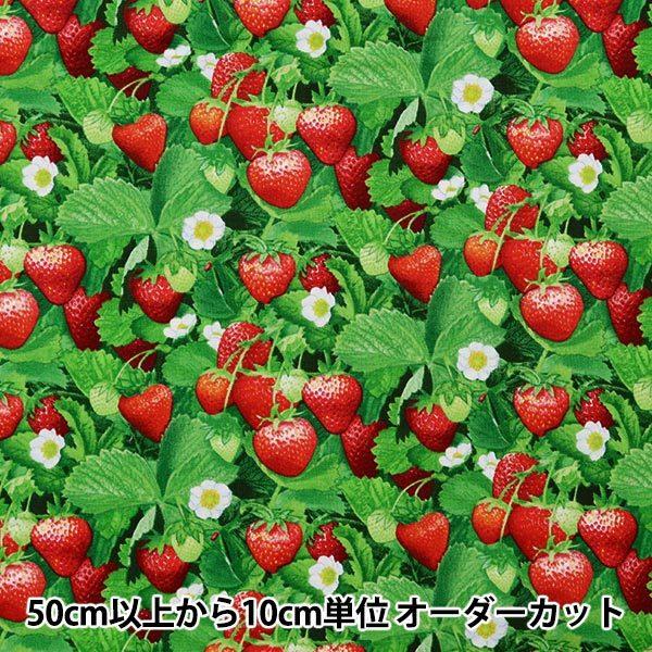 みずみずしいグリーンの葉の間で実る苺と白いお花のリアルプリント。厚さはシーチングくらいで手ざわりは比較的柔らかです。見ているといちご狩りに行きたくなるデザイン。お店やイベントのディズプレイ、エプロンなどの生活雑貨、カーテンなどインテリア、服...