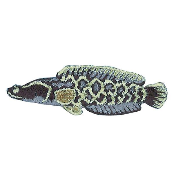 図鑑からそのまま飛び出してきたような、リアルでかっこいいワッペンです。シール&amp;アイロンタイプなのでベンリ♪アイロンで貼りつけるときはシールで仮止めしてからアイロンをかけれるので位置などがずれづらいです。アイロンが使えないものにはシー...