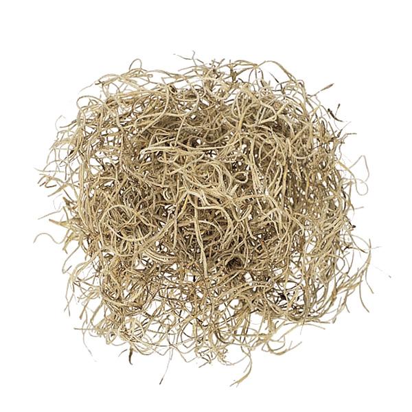 パイナップル科ハナアナナス属の植物です。フォーム隠しから、アレンジの底上げやボリュームアップに最適な素材です。使いやすい小袋タイプです。敷き詰め面積約50cm。[プリザーブドフラワー プリザーブドグリーン モス 苔  しろ 手作り 材料 ア...