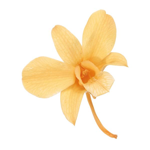 様々なシーンに大活躍。仏花にも使えるデンファレのプリザーブドフラワーです。[プリザーブドフラワー ドライフラワー デンファレ オレンジ 手作り 材料 アレンジメント]◆サイズ:約3.5〜6cmφ/1箱(8輪)