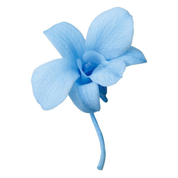 様々なシーンに大活躍。仏花にも使えるデンファレのプリザーブドフラワーです。[プリザーブドフラワー ドライフラワー デンファレ ブルー 青 手作り 材料 アレンジメント]◆サイズ:約3.5〜6cmφ/1箱(8輪)