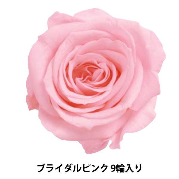 使いやすい花形とサイズ・価格が魅力のプリザーブドローズです。オールシーズン使いやすい人気の定番カラーのブライダルピンク。[花材 ブリザードフラワー ブリザーブド ローズ いずみ ブライダルピンク ブライダル ピンク 桃色 大地農園]◆サイズ...