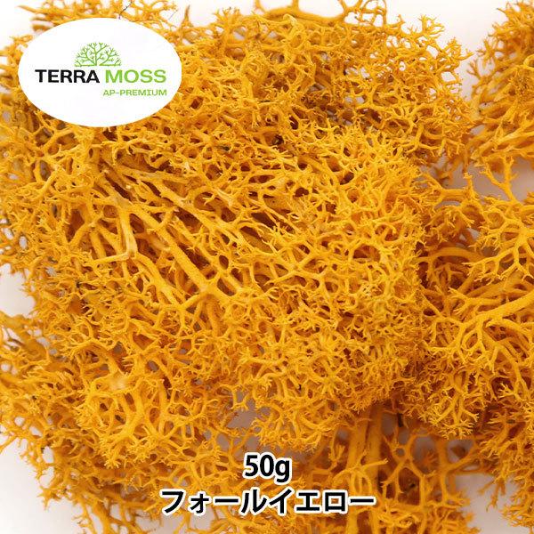 TERRA MOSS(テラモス)とは北欧スカンジナビア半島に自生するコケを採取し、独自の技術にて保存処理を施した天然100%の環境に優しいディスプレイ製品です。テラモスは、優れた耐久性により生き生きとした触感と柔らかで弾力性が長期間続きます...