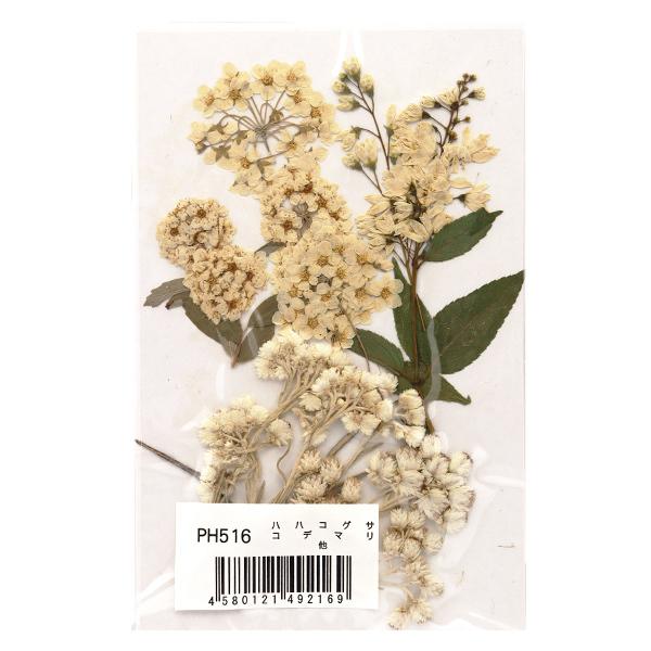 自然の色をそのままに、花畑からつみたての彩りを特殊製法で封じ込めました。開封するとバラバラになりますので、お好きな作品作りにご使用下さい。※可能な限り、同じサイズ、同じ色味のものをご用意しておりますが、天然の植物から作った商品ですので、それ...