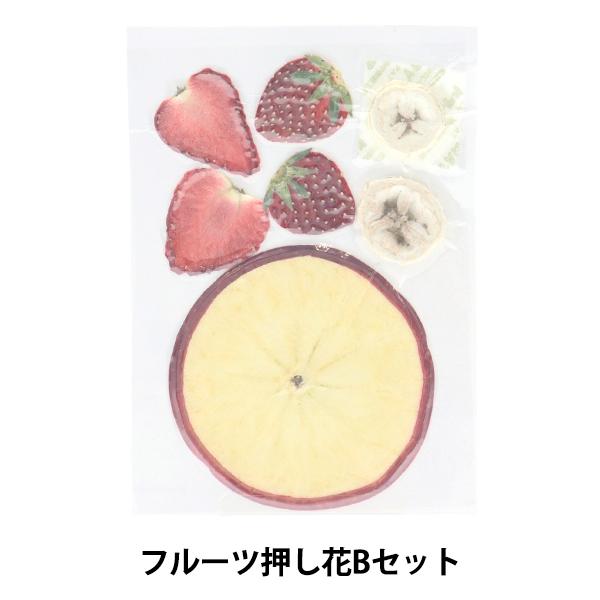 本物のフルーツを押し花のように乾燥させた押しフルーツ。本物の鮮やかさと可愛さをそのままに、色んな作品を作れます。※可能な限り、同じサイズ、同じ色味のものをご用意しておりますが、天然ものの商品ですので、それぞれが異なります。[押し花 押花 オ...
