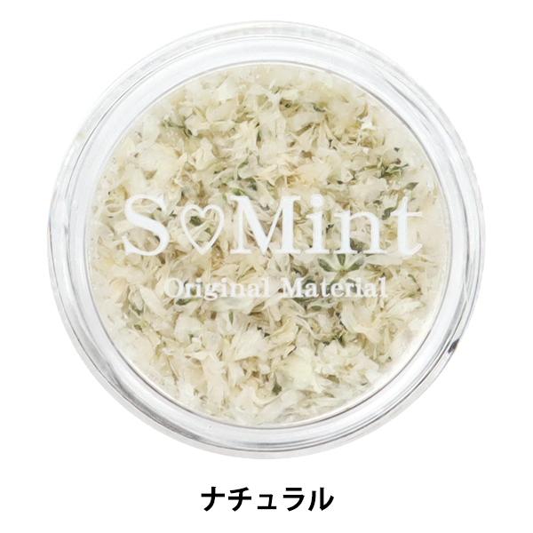 様々な作品づくりにお使いいただけるよう、小さい花びらをバランスの良いグラデーションで合わせました。美しいグラデーションなので、イメージが膨らみやすく色合わせがしやすいです。レジン作品やネイルアートなどにお使いいただけます。※生の花を加工して...