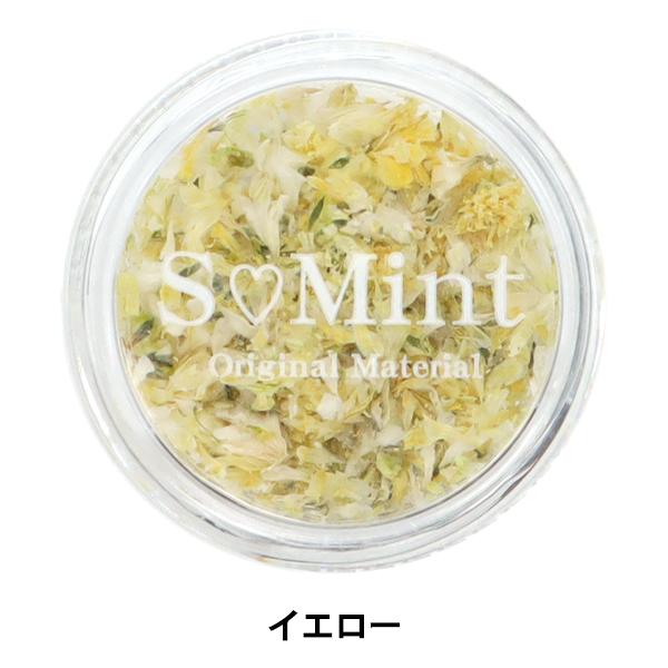 様々な作品づくりにお使いいただけるよう、小さい花びらをバランスの良いグラデーションで合わせました。美しいグラデーションなので、イメージが膨らみやすく色合わせがしやすいです。レジン作品やネイルアートなどにお使いいただけます。※生の花を加工して...