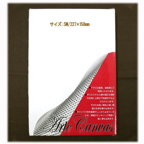 ユザワヤオリジナルの張キャンバスです！アクリル絵具、油絵具にご使用いただけます。ポリエステルと綿の適正な混紡の生地に上質な下地塗料で仕上げられています。そのため良い発色と強い固着力を得ることが出来ます。キャンバス地を裏側でしっかりホチキスで...