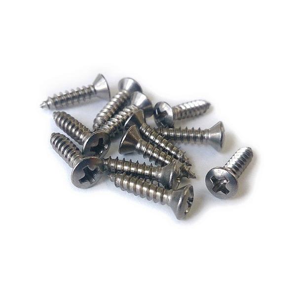 サビに強く高い耐久性を誇るステンレススクリューシリーズフェンダータイプのピックガード・プレート用ビスネジ頭形状：オバール(丸皿)サイズ：約2.8X12.9(mm)入り数：12本