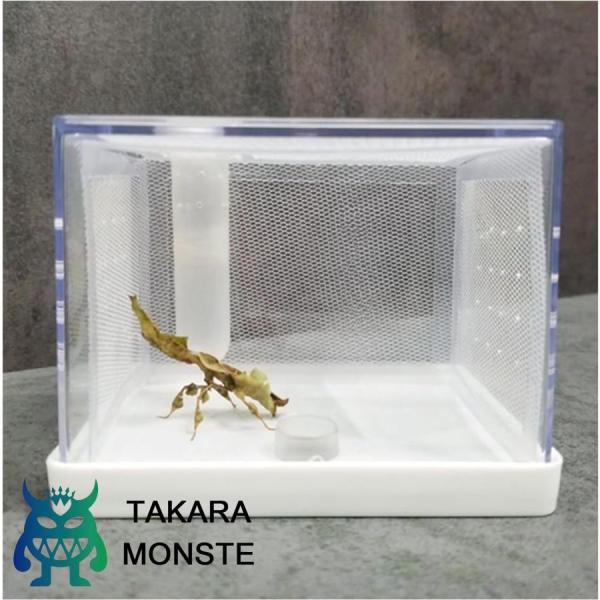 カマキリは脱皮するときに逆さまにぶら下がる習性があるため、這う必要があります。 孵化したばかりのカマキリを飼育し、脱皮して成長していく過程を体験できます。高精細な鑑賞体験：飼育箱は高精細なアクリル素材で作られており、前面にガーゼネットがない...