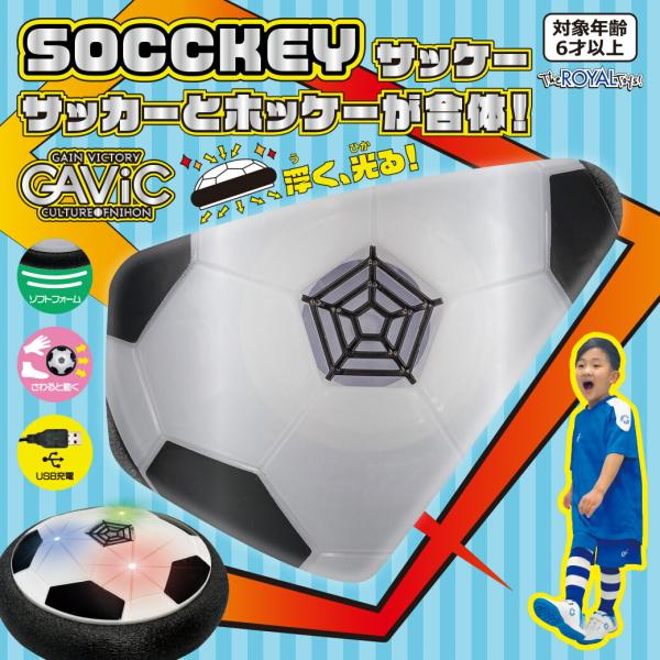 ■採寸[単位(cm)]直径/18cm高さ/6cm※上記サイズは、実際に同一の商品を採寸した結果です。■ブランド：GAVIC ガビック■アイテム：エキップメント■スタイルNo：GC1700■商品名：サッケー■原産国：China 他■素材：AB...