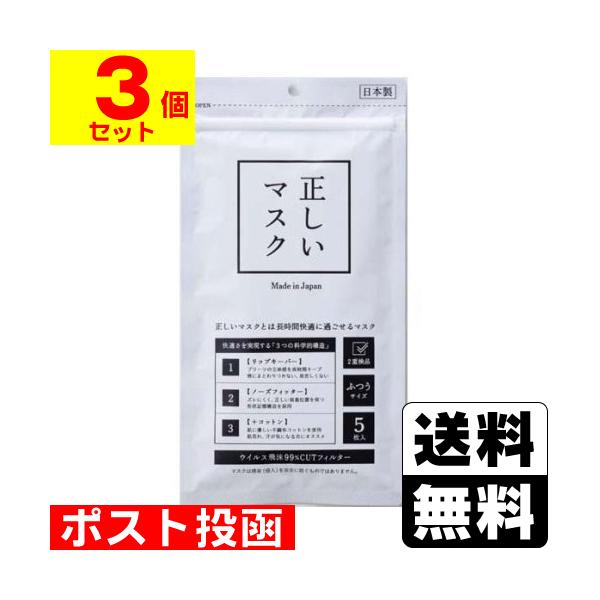 【送料無料】/使い捨てマスク/プリーツ/不織布/国産