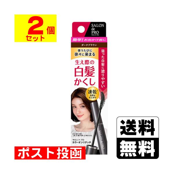 【送料無料】/生え際/白髪隠し/白髪染め/マスカラ型