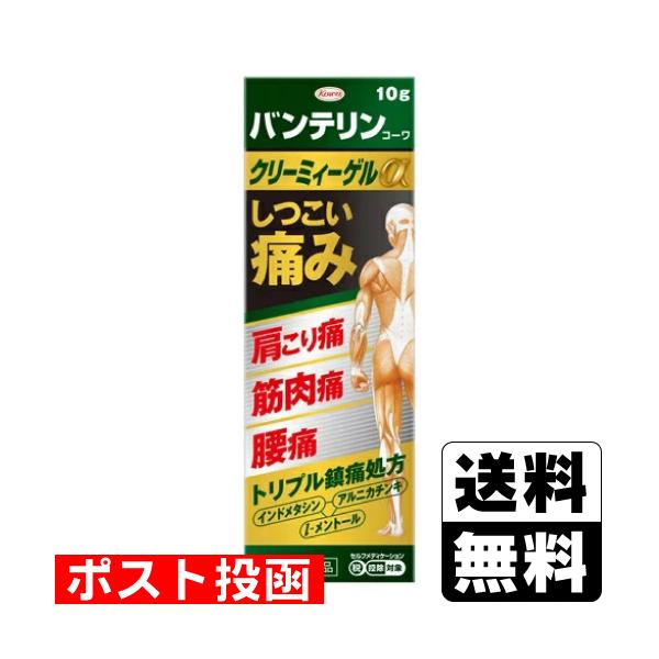 【送料無料】/筋肉痛/肩こり/腰痛/塗り薬