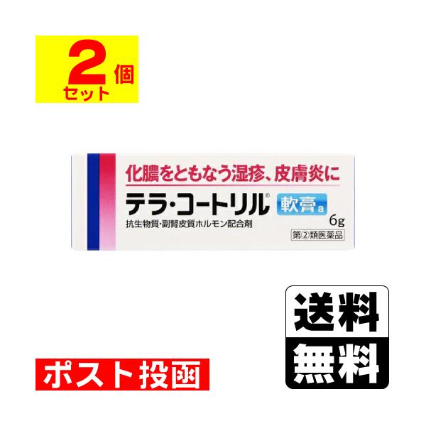 【送料無料】/化膿/皮膚炎/湿疹/ステロイド