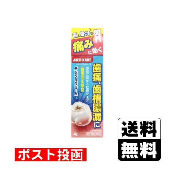 【送料無料】/歯槽膿漏/歯ぐきの痛み/歯の痛み