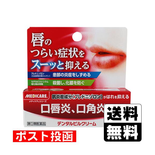 【送料無料】/口唇炎/口角炎/口内炎