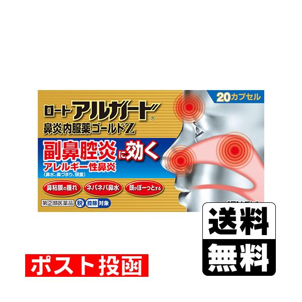 【送料無料】/アレルギー性鼻炎/副鼻腔炎