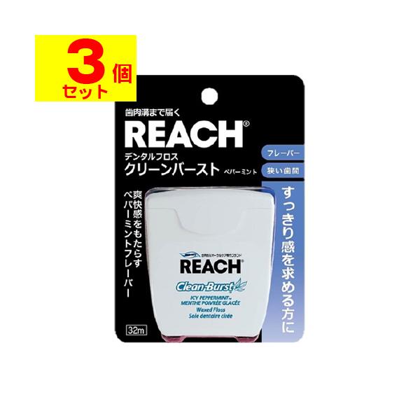 【送料無料】/歯と歯の間