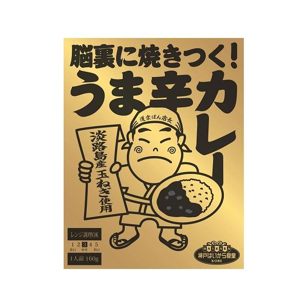 【6000円(税込)以上で送料無料(北海道・沖縄を除く)】/レトルトカレー/ビーフカレー