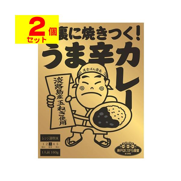 【送料無料】/レトルトカレー/ビーフカレー