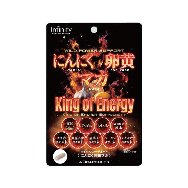 【送料無料】/サプリメント/ニンニク