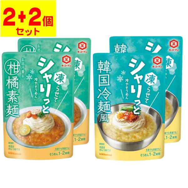 【送料無料】/そうめんつゆ/素麺/かけつゆ/めんつゆ/凍らせる/氷