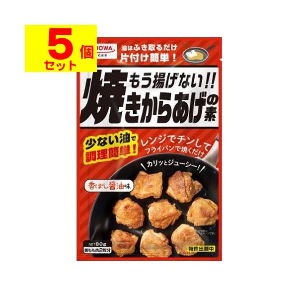 【送料無料】/唐揚げ/簡単/あげない/少ない油