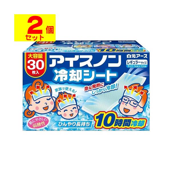【送料無料(北海道・沖縄を除く)】/大容量/あいすのん/おでこを冷やす/からだを冷やす/冷たいシート/発熱/企画品/数量限定