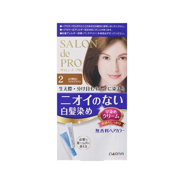 【6000円(税込)以上で送料無料(北海道・沖縄を除く)】/白髪染め