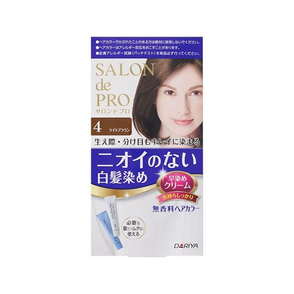 【6000円(税込)以上で送料無料(北海道・沖縄を除く)】/白髪染め