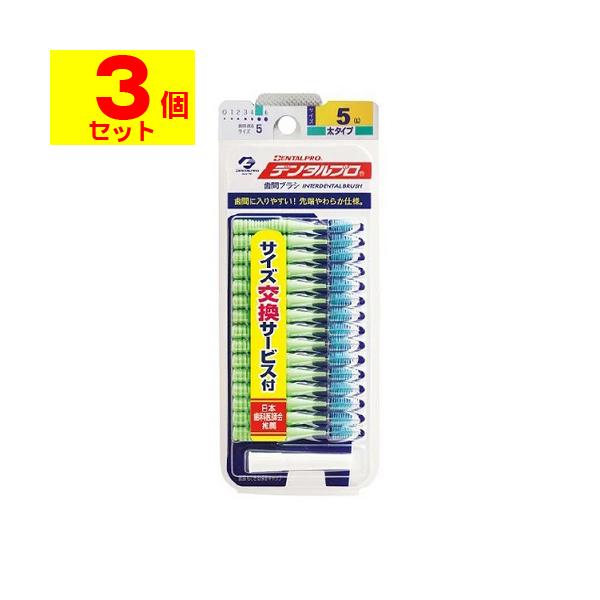 【送料無料】/歯と歯の間/オーラルケア/歯磨き