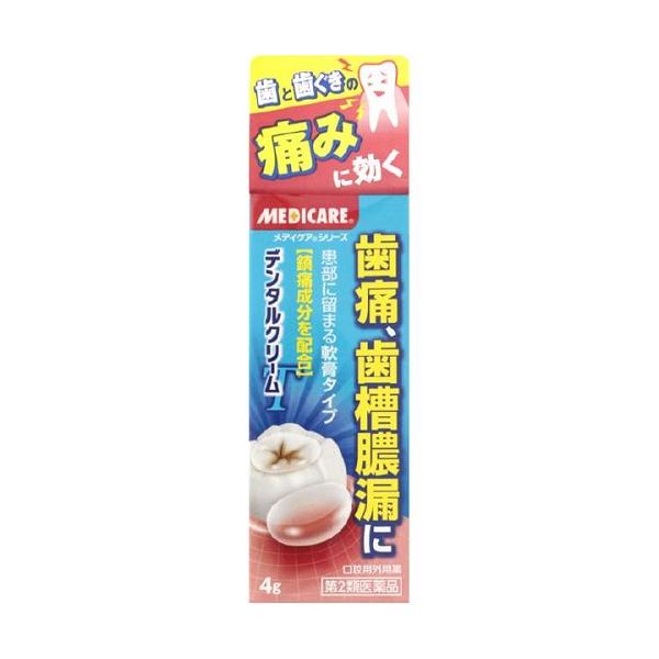 【送料無料】/歯槽膿漏/歯ぐきの痛み/歯の痛み