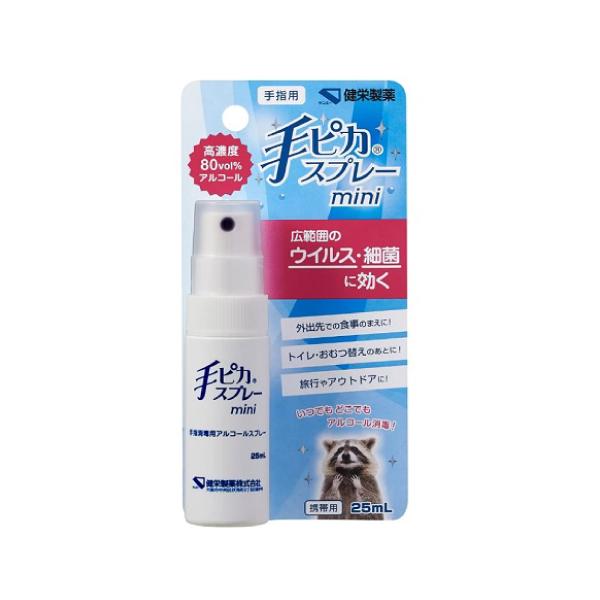 【6000円(税込)以上で送料無料(北海道・沖縄を除く)】/消毒/アルコールスプレー/手指/除菌/携帯用