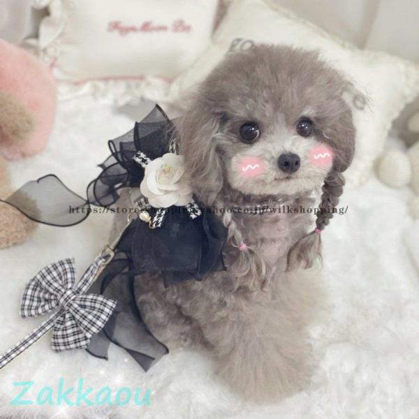 【サイズの目安】S：首まわり14〜27cm　胸まわり18〜30cm　リード120cm M：首まわり22〜38cm　胸まわり26〜4cm　リード120cm