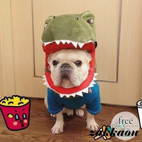 ※ご注意商品内容：帽子のみ、洋服は含まれていない犬 秋冬 お洒落 フリース 中型犬 暖かい ペット 猫 アクセサリー 小物 帽子 被り物 恐竜 サメ グリーン グレー トイ プレゼント お祝い 可愛い ギフト セレブ ペット用品 ペットグッ...