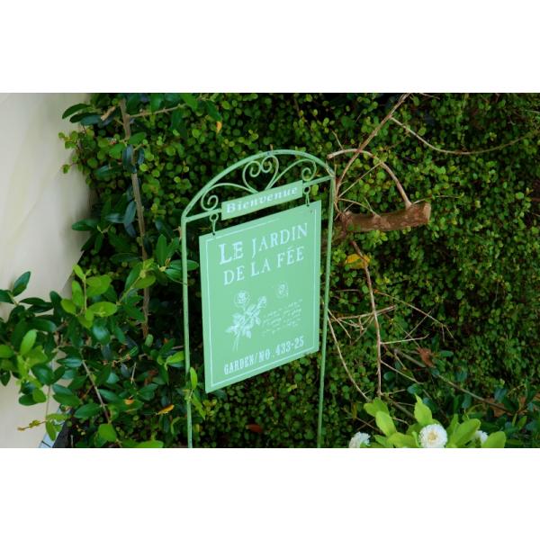 ☆今だけ送料無料（沖縄県別途要相談）※北海道・九州地方への発送は送料高額にて1点での発送の場合220円のご負担お願いします他商品(送料無料)も購入の場合不要。予めご了承願いますお庭に映える。きれいなグリーン☆お天気の日は若干淡く美しい色　夕...