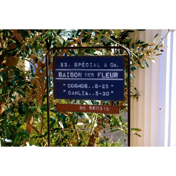 ☆今だけ送料無料（沖縄県別途要相談）※北海道・九州地方への発送は送料高額にて1点での発送の場合220円のご負担お願いします他商品(送料無料)も購入の場合不要。予めご了承願いますレトロアンティーク仕上げアイアン製品ちょっとお花が少なくて寂しい...