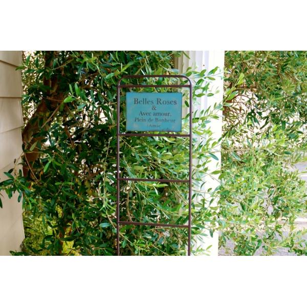 ☆今だけ送料無料（沖縄県別途要相談）※北海道・九州地方への発送は送料高額にて1点での発送の場合220円のご負担お願いします他商品(送料無料)も購入の場合不要。予めご了承願いますラダーはしごタイプのお客さがお好きにアレンジしやすいガーデンピッ...