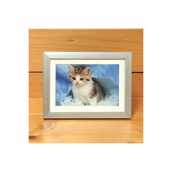 スチール製のフォトフレームです。サイズ：H90×W120mm 位