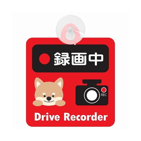 事故やトラブルが心配なあなたへ！「Drive Recoder」のセーフティーサインをご紹介します！録画中のカーサインですね(￣ー￣)煽り運転や危険運転　トラブル回避に最適なカーアクセサリーです！こういうカーグッズをウィンドウに貼っていれば危...