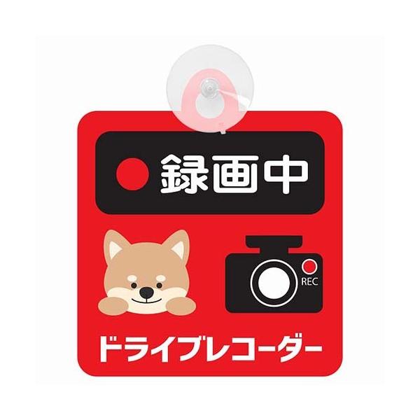 事故やトラブルが心配なあなたへ！「ドライブレコーダー」のセーフティーサインをご紹介します！録画中のカーサインですね(￣ー￣)煽り運転や危険運転　トラブル回避に最適なカーアクセサリーです！こういうカーグッズをウィンドウに貼っていれば危険運転の...