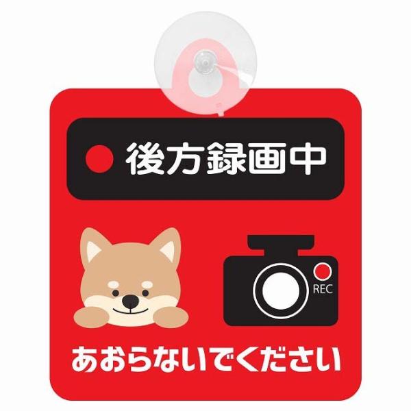 事故やトラブルが心配なあなたへ！「後方録画中　あおらないでください」のセーフティーサインをご紹介します！録画中のカーサインですね(￣ー￣)煽り運転や危険運転　トラブル回避に最適なカーアクセサリーです！こういうカーグッズをウィンドウに貼ってい...