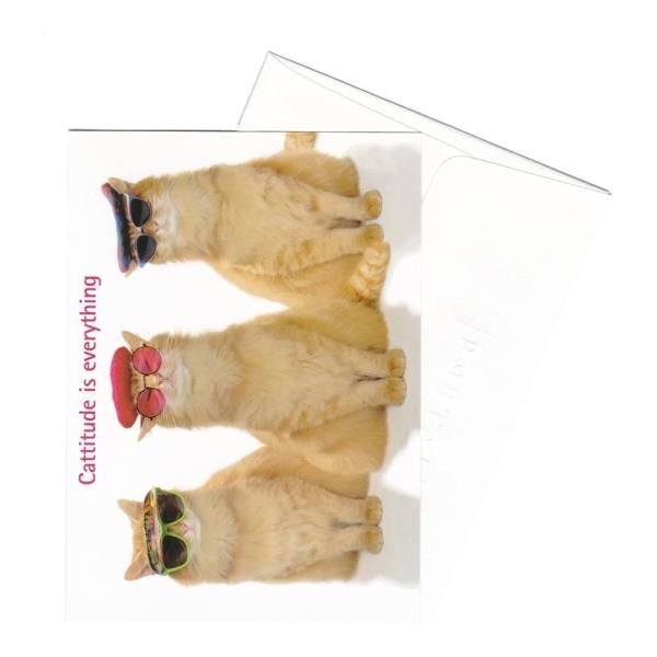 サイズ：13.4×18.5cm（封筒サイズ）/紙製※定形外郵便物OKブランド：ポータルデザイン：多目的 ネコ サングラスアメリカのPORTAL社のグリーティングカードです。様々な表情の猫の写真がコラージュされたＰＯＲＴＡＬのグリーティングカ...