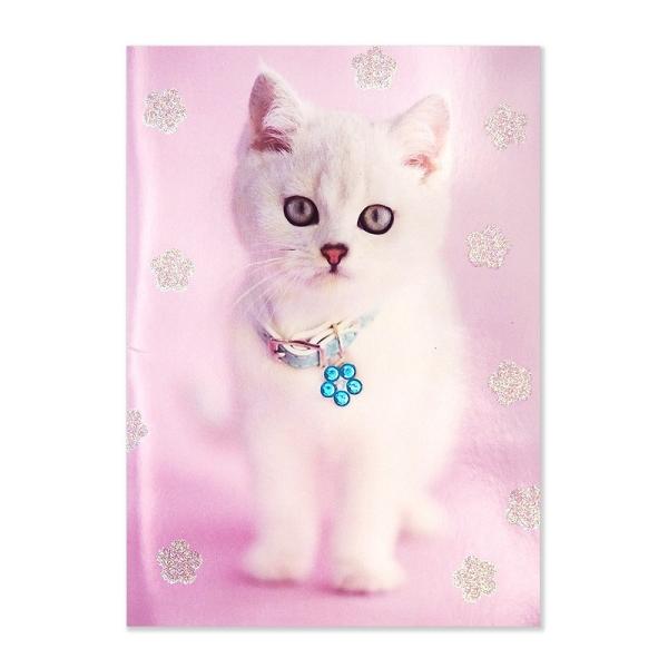 サイズ：約横幅18.5×縦幅13.4cm（封筒のサイズ）※定形外郵便物OKブランド：ポータルデザイン：誕生日 お祝い ネコ 首輪 ピンク 白色 青色ポータルの二つ折りグリーティングカードです。可愛らしい白い子猫の写真がデザインされています。...