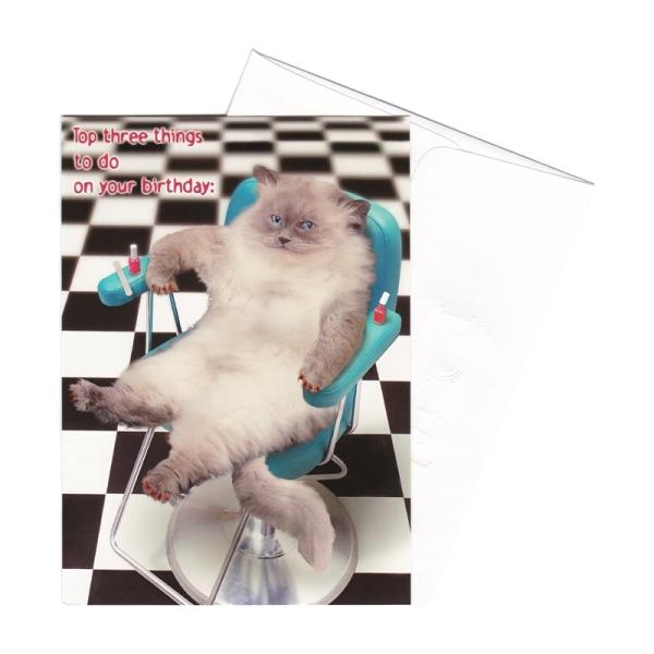 サイズ：13.4×18.5cm（封筒サイズ）/紙製※定形外郵便物OKブランド：ポータルデザイン：記念日 ネコ おしゃれ 部屋アメリカのPORTAL社のグリーティングカードです。様々な表情の猫の写真がコラージュされたＰＯＲＴＡＬのグリーティン...