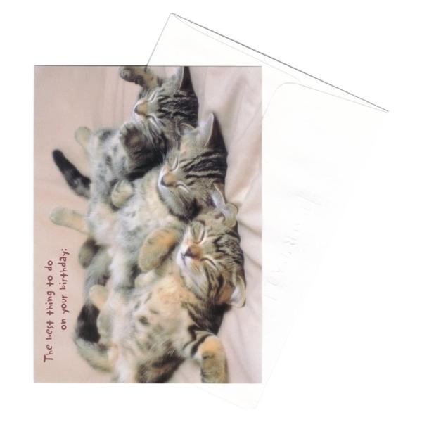 サイズ：13.4×18.5cm（封筒サイズ）/紙製※定形外郵便物OKブランド：ポータルデザイン：記念日 ネコ 子猫アメリカのPORTAL社のグリーティングカードです。様々な表情の猫の写真がコラージュされたＰＯＲＴＡＬのグリーティングカードシ...