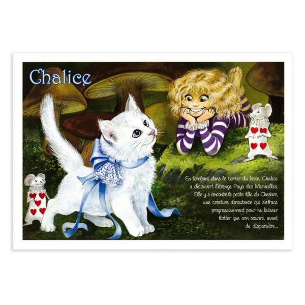 サイズ：約横幅10.5×縦幅15.1cm素　材：紙製※定形外郵便物可ブランド：AU Bord des Continentsデザイン：猫 キャット ロミオ ふしぎの国のアリス トランプ兵繊細なタッチでオシャレ＆コミカルに描かれたセブリーヌピノ...